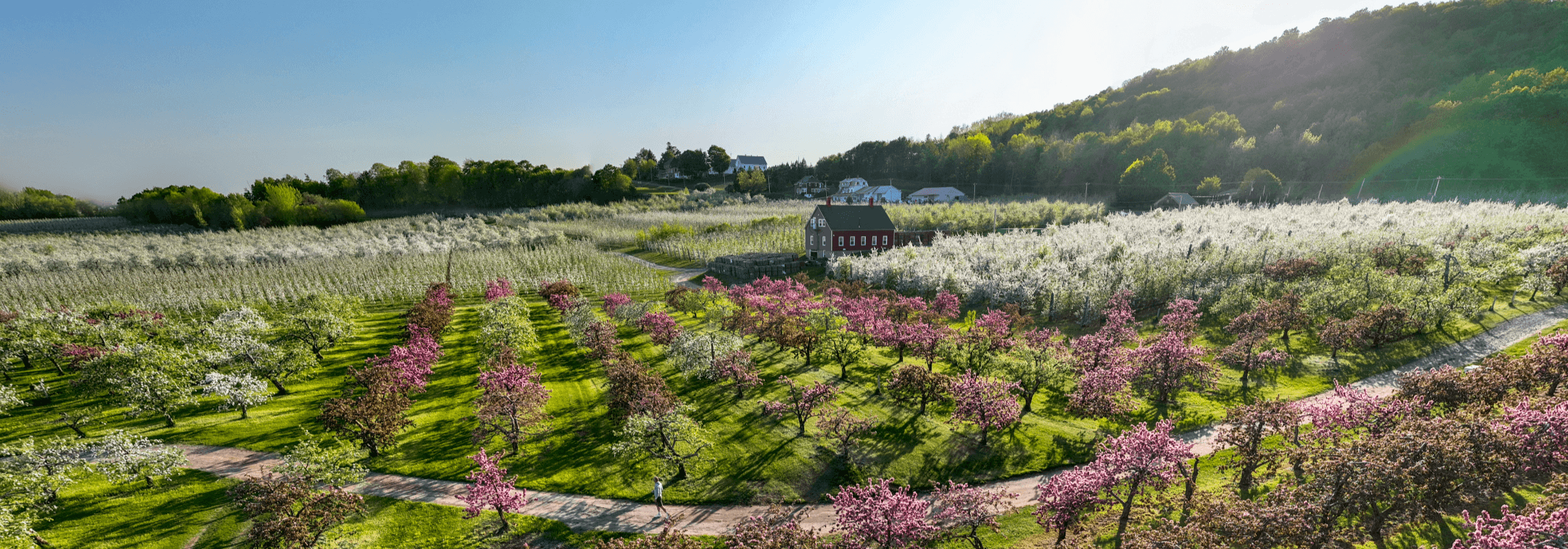 Cycling in Montérégie: practical information for planning your bike ride